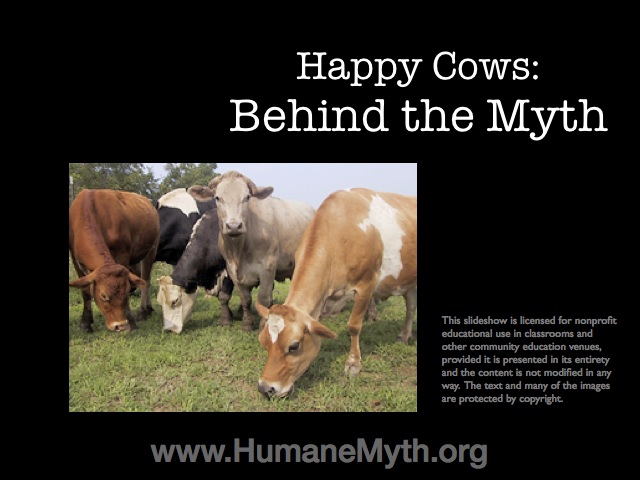 Behind The Myth Happy Cows